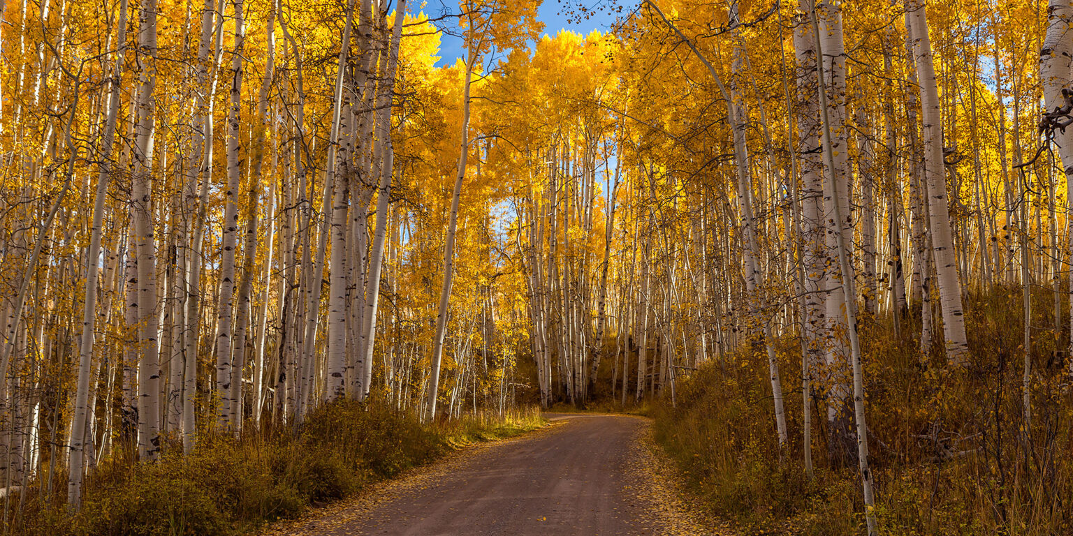 Divide Road on the Uncompahgre Plateau // ADVENTR.co