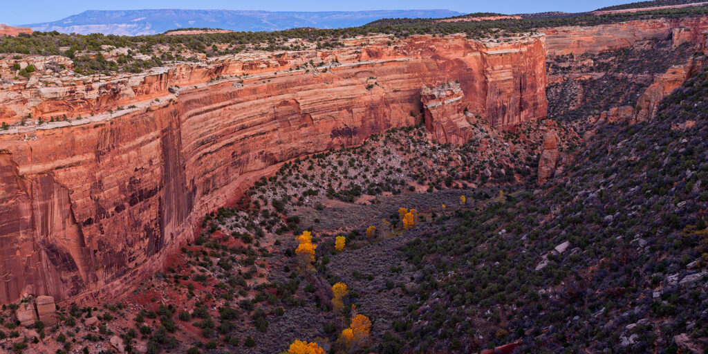 Fallen Rock Fall Colors // ADVENTR.co