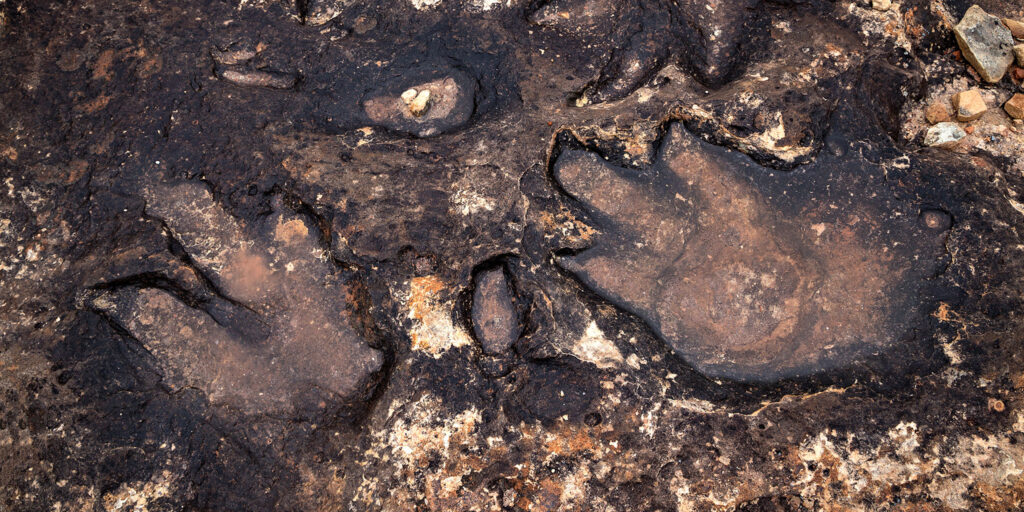 Dinosaur Stomping Ground // ADVENTR.co