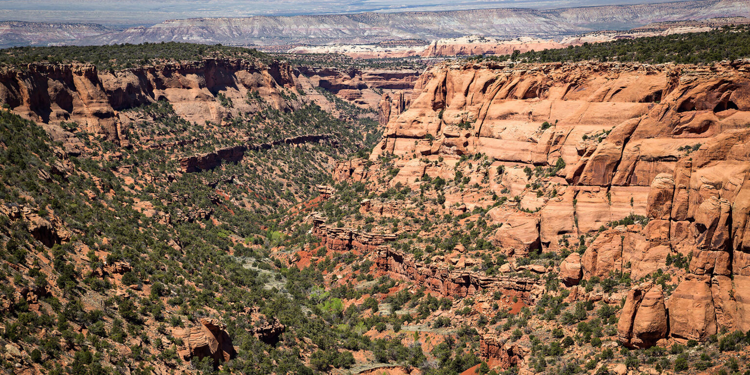 Black Ridge Canyons Wilderness Trip Reports // ADVENTR.co