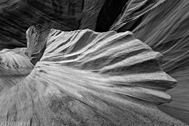 Sandstone Fin // ADVENTR.co