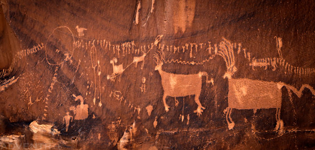 The Procession Panel // ADVENTR.co