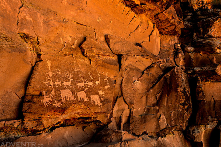 Buffalo Panel // ADVENTR.co