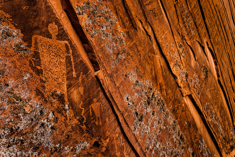 Lichen & Lines // ADVENTR.co