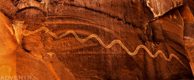 Solar Snake // ADVENTR.co