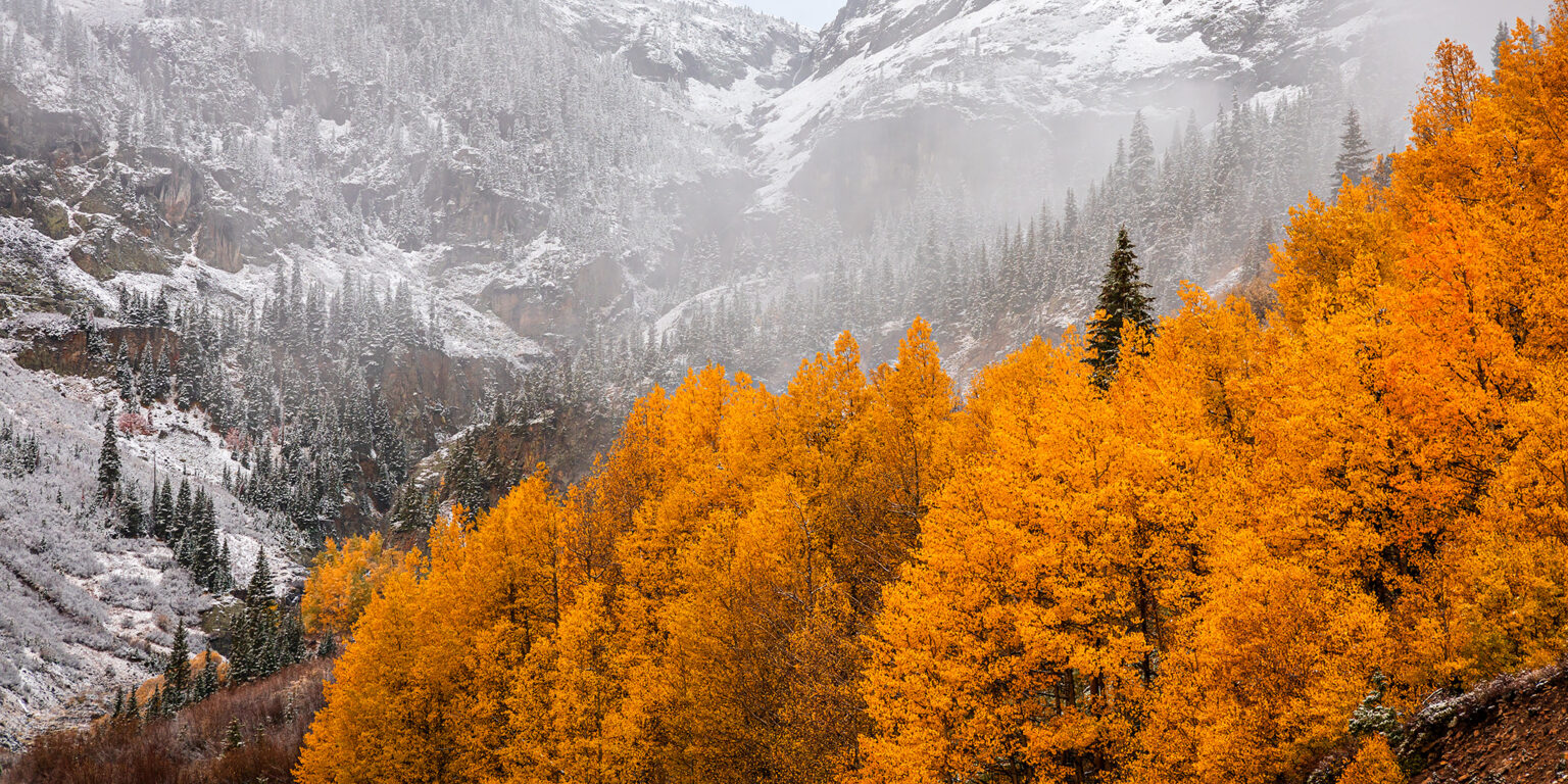Colorado Fall Colors Trip Reports // ADVENTR.co