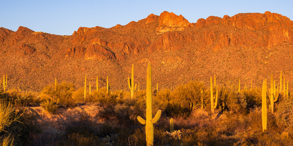 Tucson Mountains: King Canyon to Wasson Peak // ADVENTR.co
