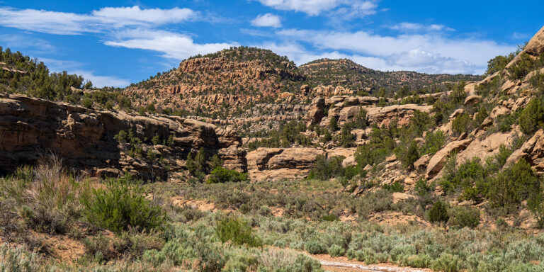 Bookin’ It to the Book Cliffs & Uinta Basin // ADVENTR.co